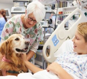 A Boy’s Loving Hug With His Dog Before Surgery Brings an Unexpected ...