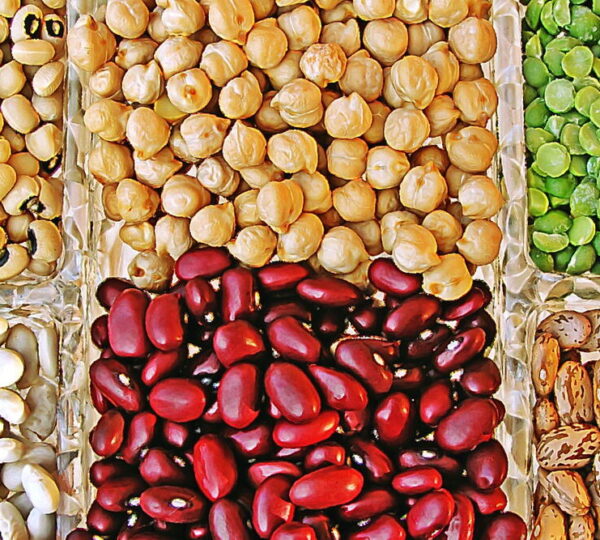 How Beans Can Help Naturally Regulate Your Blood Sugar - Xekonomi